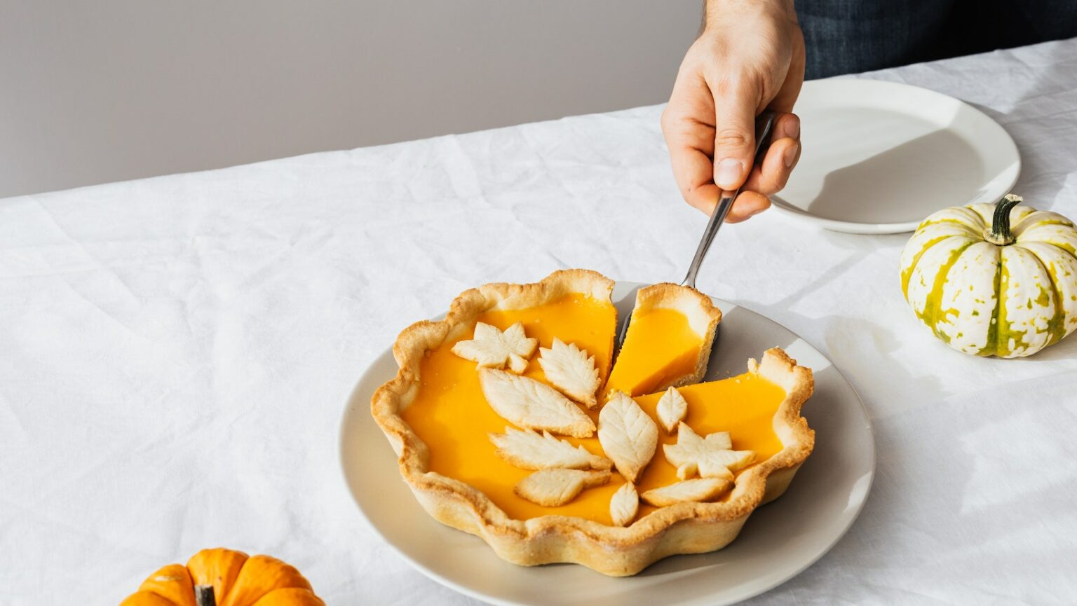 Irresistible Yellow Squash Dessert Recipes - Con Versations with Bianca